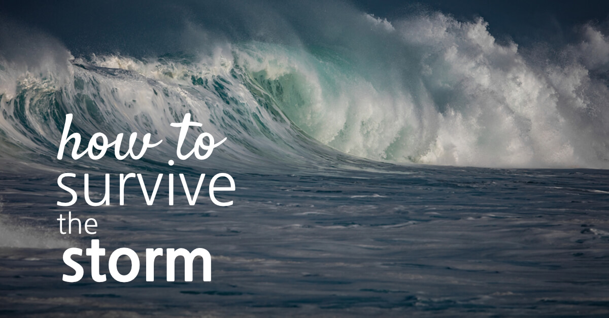 How To Survive The Storm And Have A Happy Hurricane